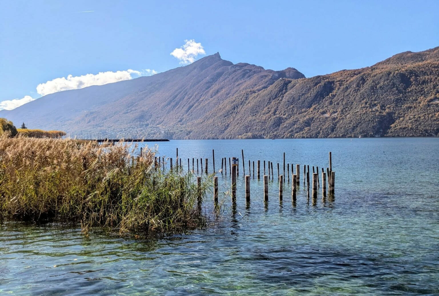 Température de l'eau du lac du Bourget en temps réel - Lac du Bourget